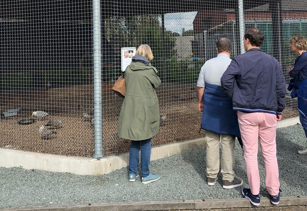 Minder bezoekers, maar meer gedoneerd aan het Vogelhospitaal - De ...