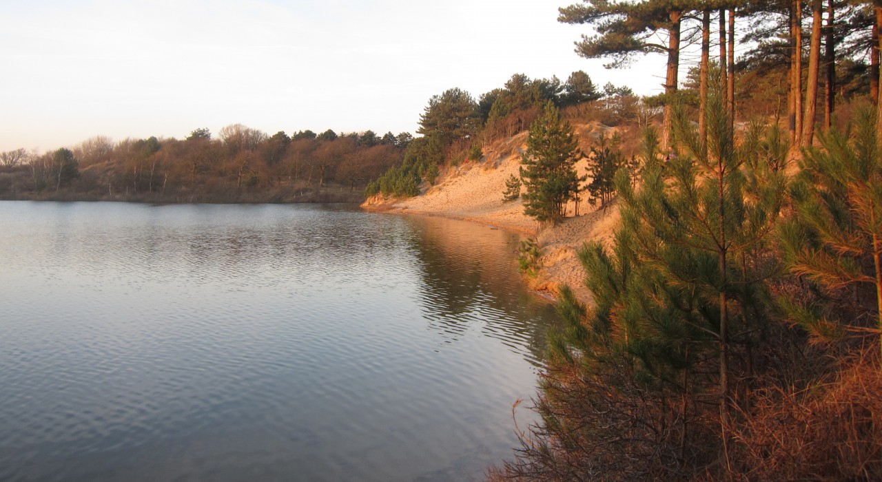 Excursie rondje Oosterplas - Oozo.nl